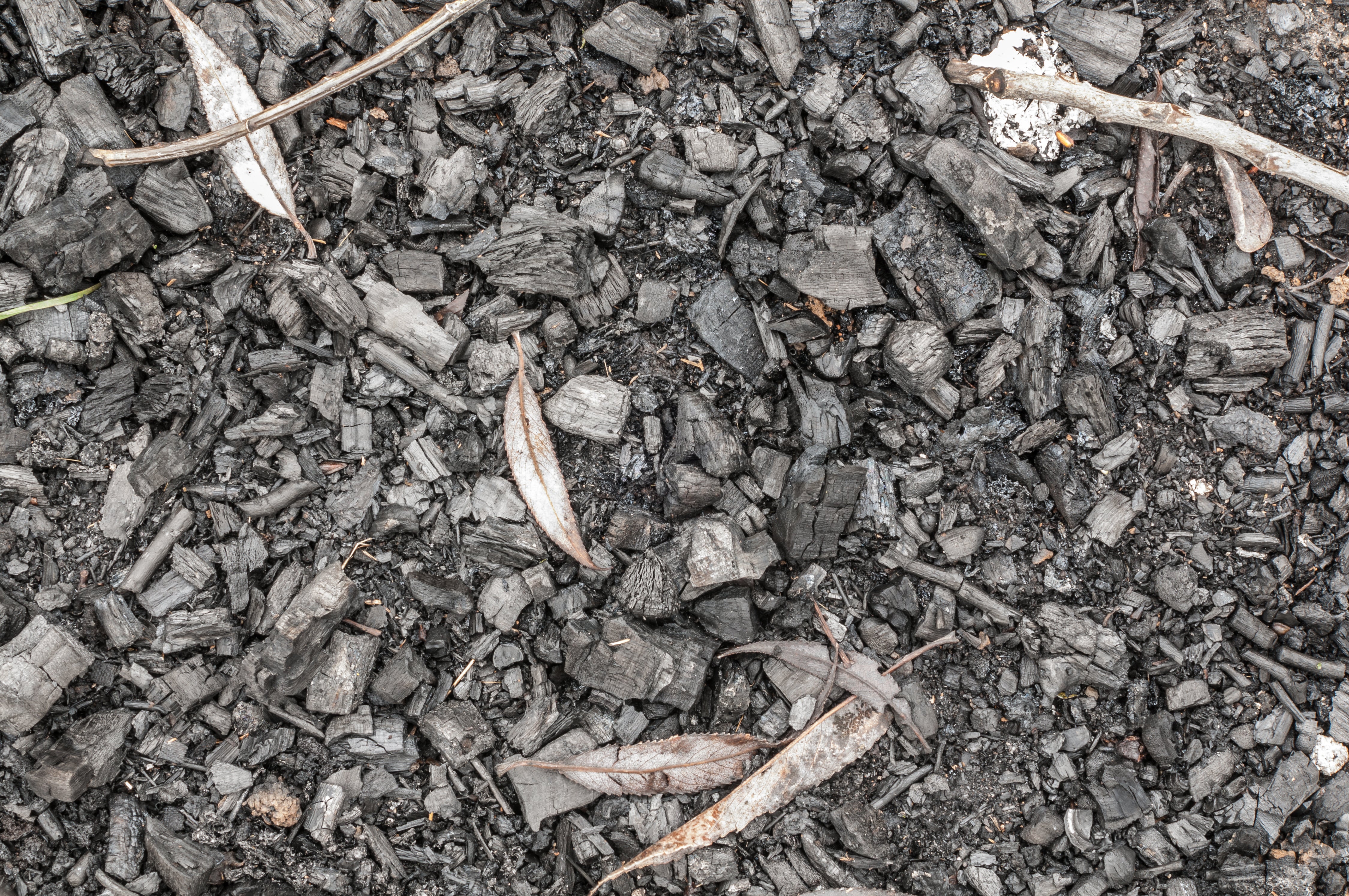 How to Make Biochar (3 DIY Methods + An Easier Alternative) – Rosy Soil