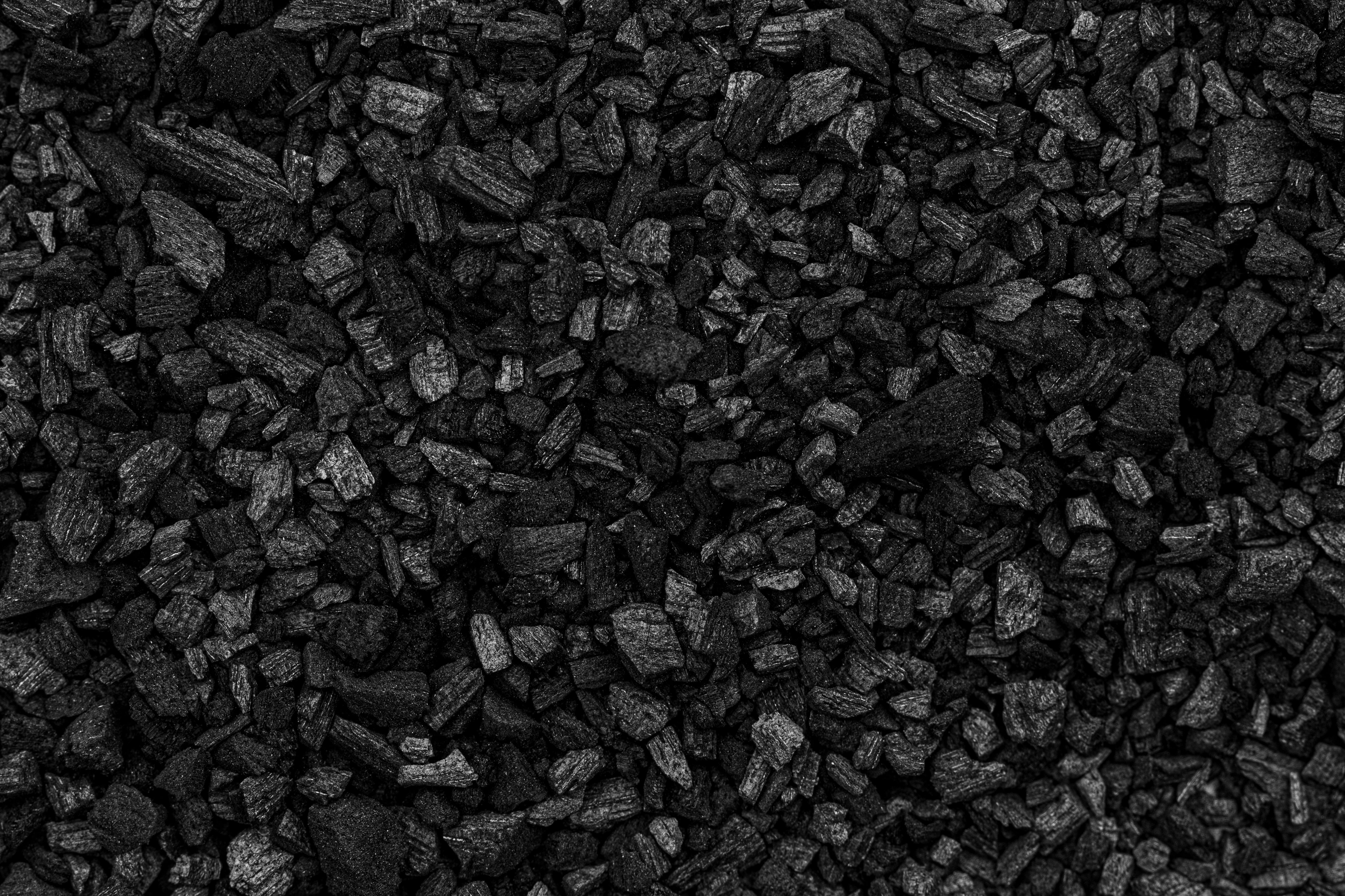 Biochar vs Charcoal: 6 Key Differences You Should Know About – Rosy Soil