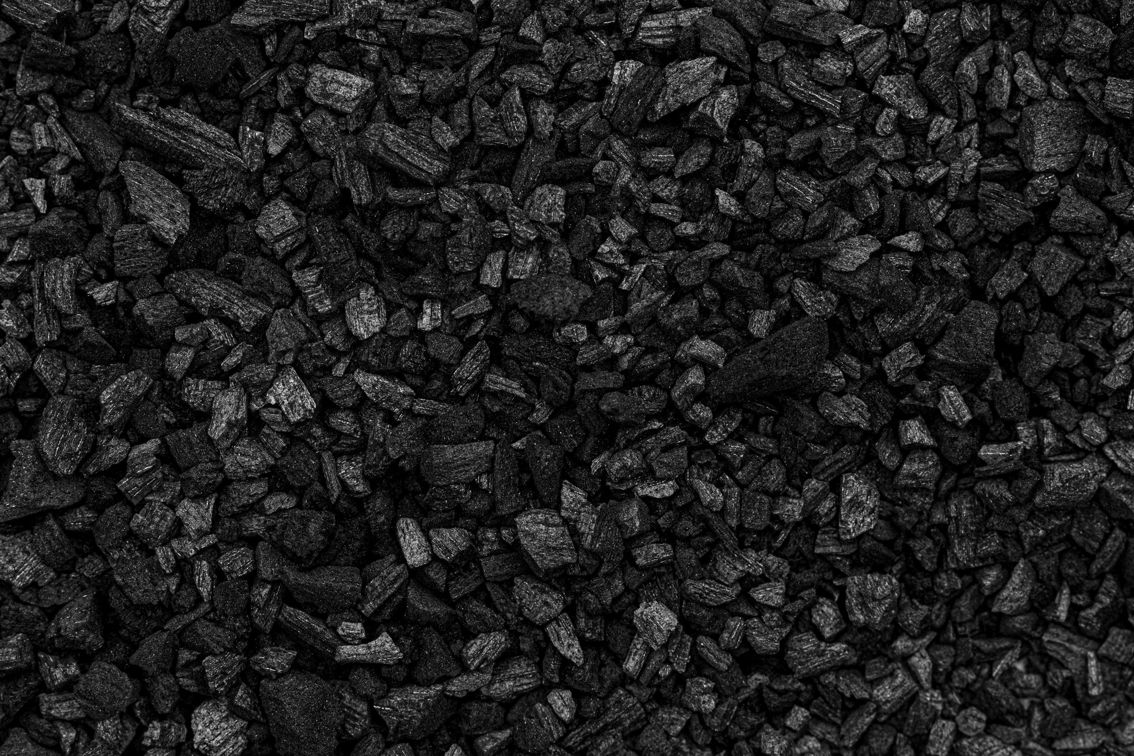 Biochar vs Charcoal: 6 Key Differences You Should Know About – Rosy Soil